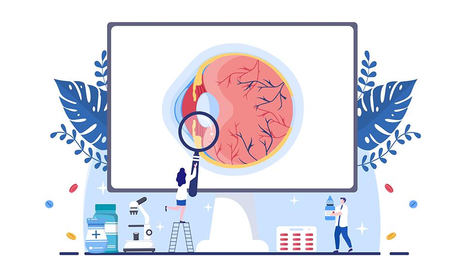 OCT for Early Detection of Eye Diseases (Huvitz HOCT-1/1F)| Huvitz